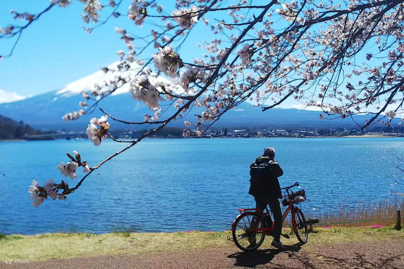 Mount Fuji Arakurayama Park Oshino Hakkai Kawaguchiko Bus Tour from Tokyo - Klook Россия